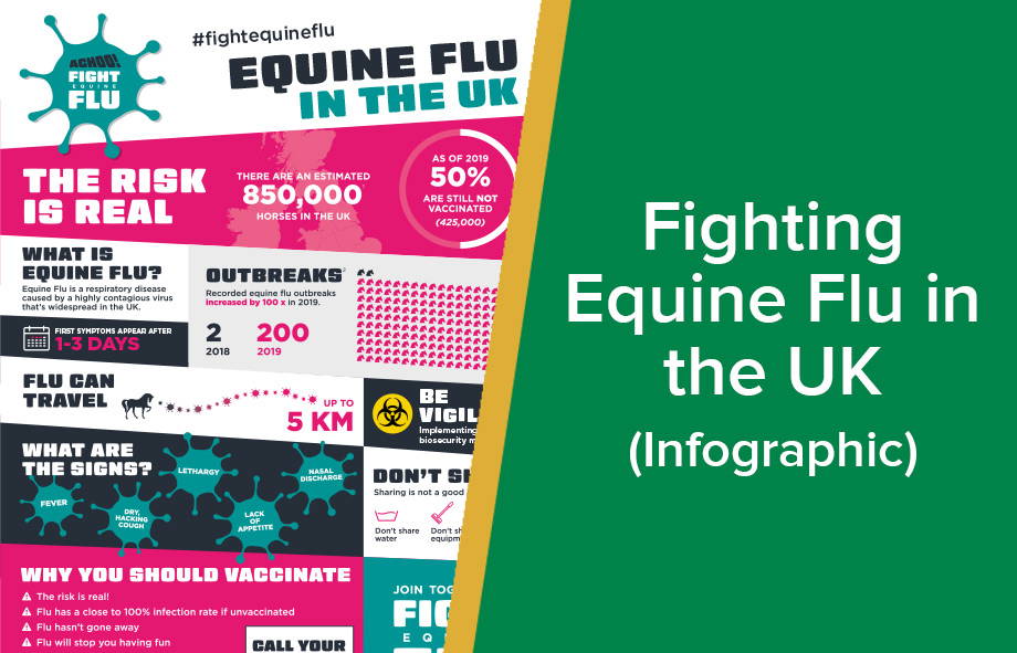 Fighting Equine Flu in the UK (Infographic) - Parkside Vets Equine