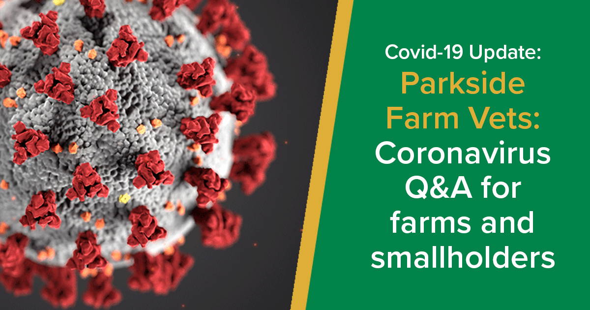 Helpful Coronavirus Q&A for Farm and Smallholders | Parkside Farm Vets