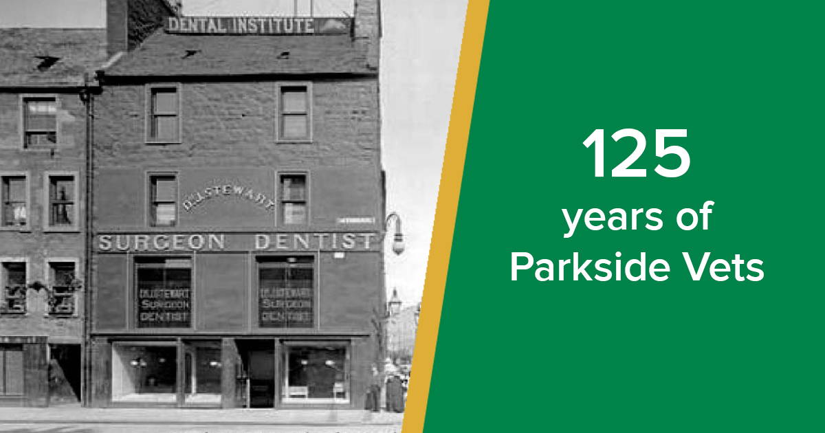 125 Years of Parkside Vets - Our History