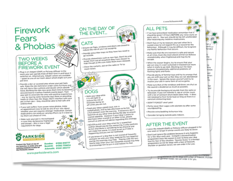 Pets and Fireworks: FREE Safety Guide - Parkside Vets Pets
