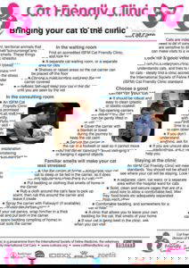 We Love Cats! Cat friendly Vet Clinic in Dundee, Abroath, Barnhill