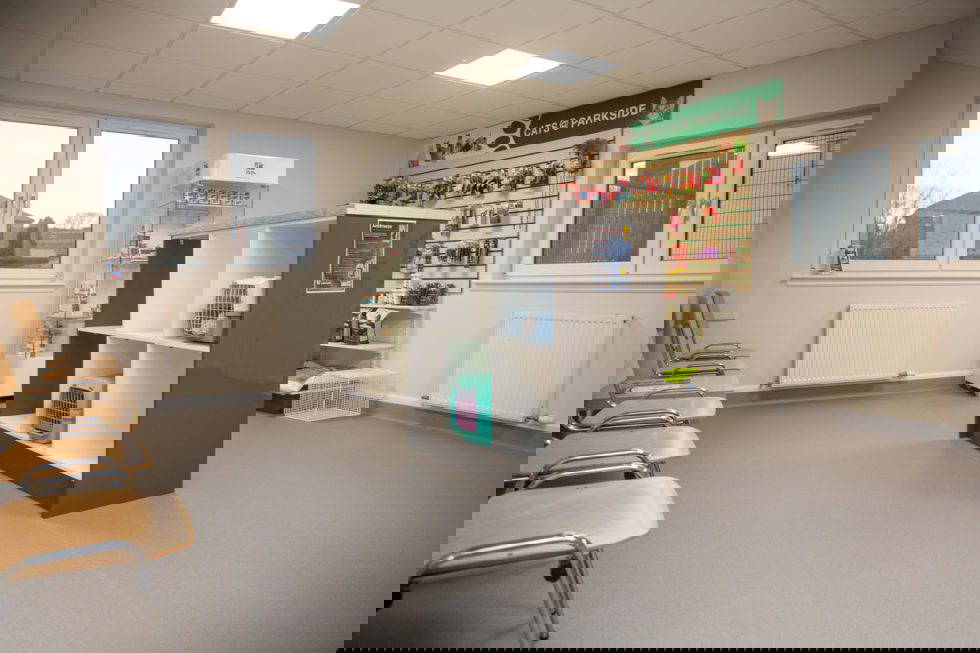 We Love Cats! Cat friendly Vet Clinic in Dundee, Abroath, Barnhill