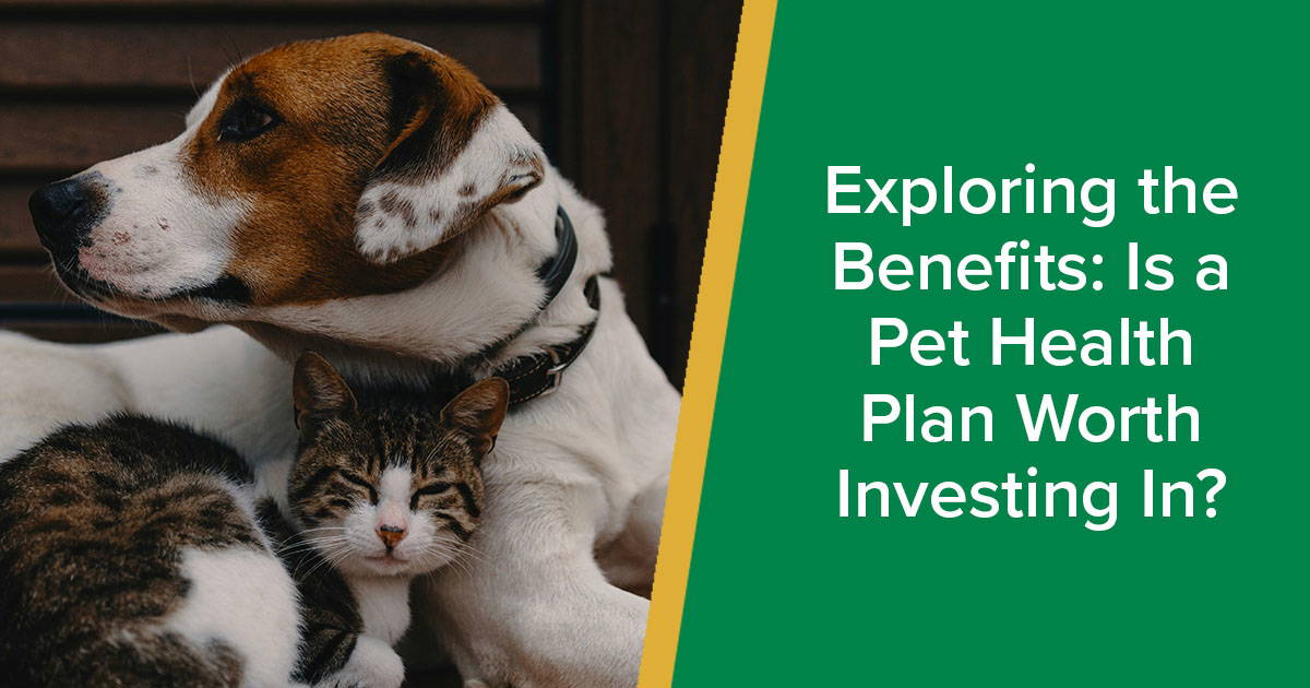 Exploring the Benefits: Is a Pet Health Plan Worth Investing In ...