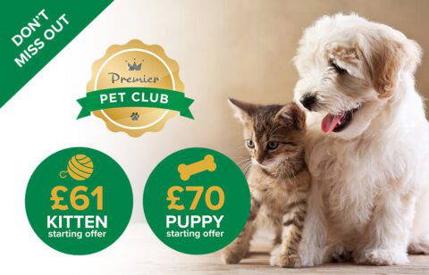 Parkside Vets: A caring vet practice for Pets in Dundee, Barnhill ...