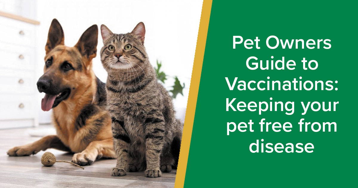 Pet Owners Guide to Vaccinations: Keeping your pet free from disease ...