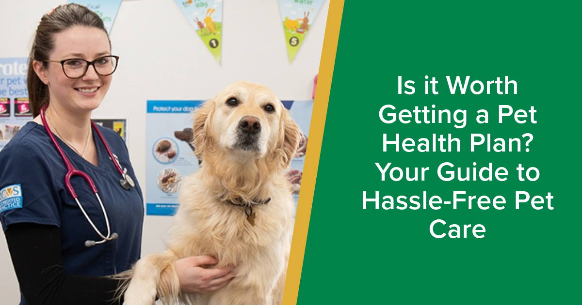 Is it Worth Getting a Pet Health Plan? Your Guide to Hassle-Free Pet ...